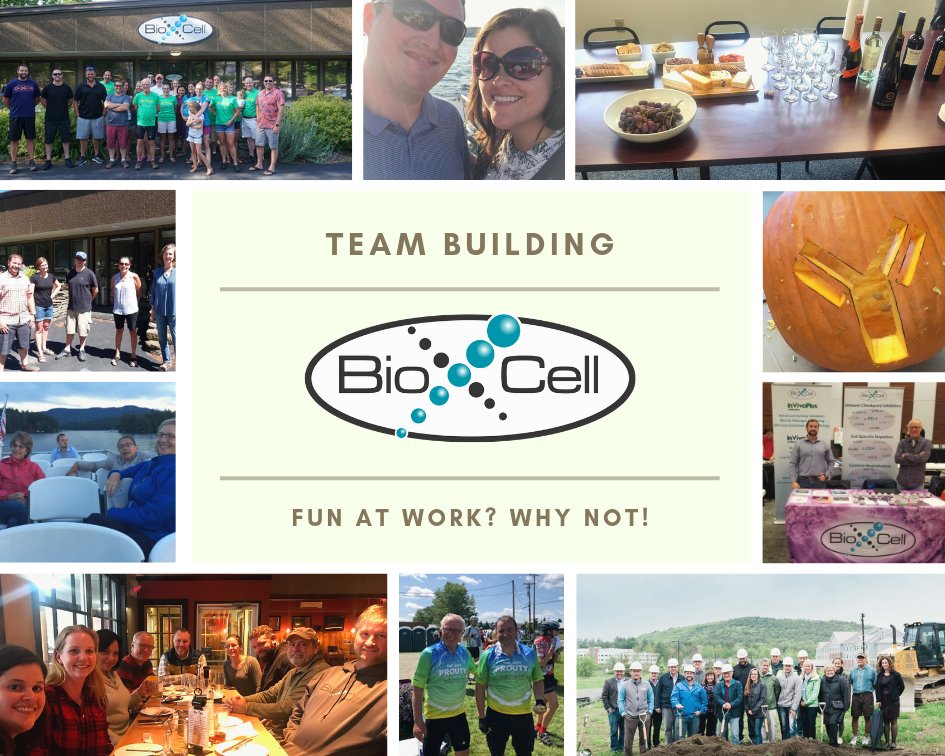 Team Building with Bio X Cell | BioXcell | Bio X Cell