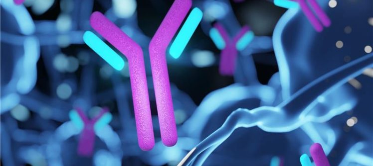 Inside Custom Antibody Production | BioXcell | Bio X Cell